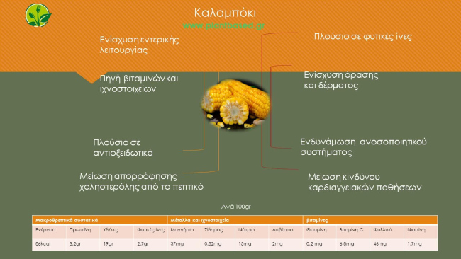 Καλαμπόκι infographic | Plantbased.gr
